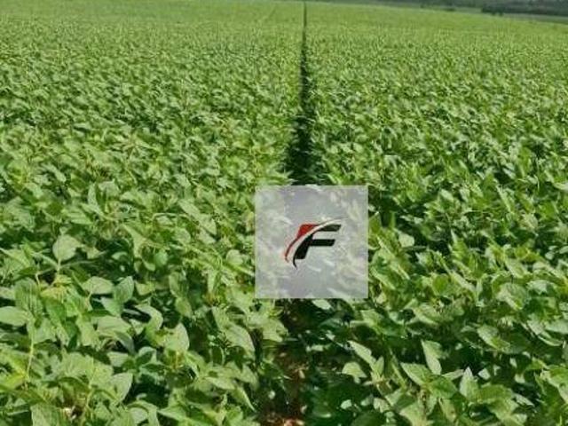 Fazenda à venda, 4694800 m² por R$ 80.000.000,00 Zona Rural Ponta Grossa/PR