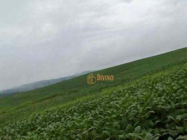 Fazenda à venda, 49 Alqueires por R$ 11.000.000 Área Rural Itapetininga/SP