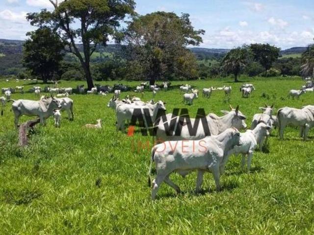 Fazenda à venda, 5008300 m² por R$ 55.000.000,00 Centro Leopoldo de Bulhões/GO