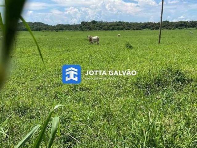 Fazenda a venda.568.31500 m² residente Alves, SP