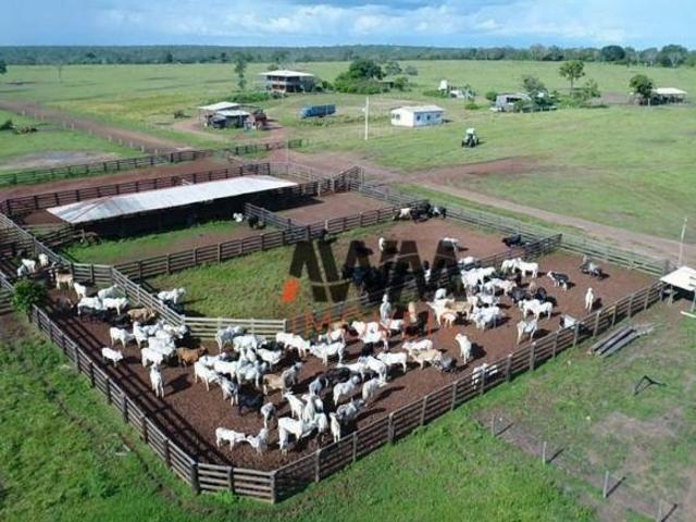 Fazenda à venda, 62800000 m² por R$ 130.000.000,00 Zona Rural Paranatinga/MT