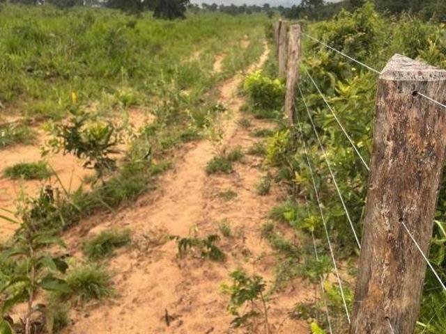 Fazenda à venda, 6560000 m² por R$ 3.500.000 256 Tesouro/MT
