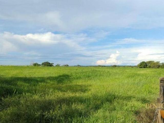 Fazenda à venda, 6655000 m² por R$ 13.500.000 Zona Rural Jangada/MT