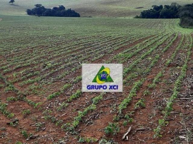 Fazenda à venda, 6776000 m² por R$ 14.000.000,00 Área Rural Santa Rita de Caldas/MG