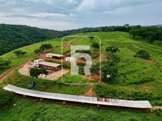 Fazenda à venda, 6 quartos, 1 vaga, Centro Queluzito/MG