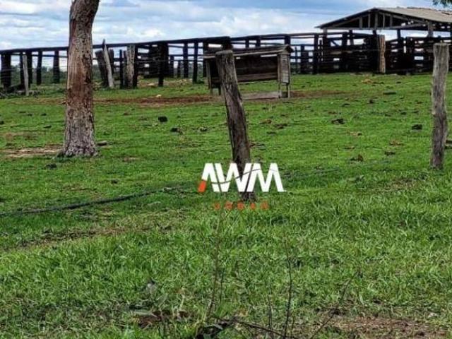 Fazenda à venda, 8131200 m² por R$ 14.000.000,00 Centro Barra do Garças/MT