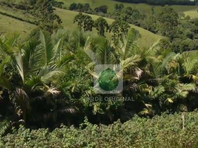 Fazenda à venda, 820000 m² por R$ 8.000.000,00 Caquende Delfim Moreira/MG