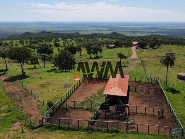 Fazenda à venda, 8228000 m² por R$ 10.000.000,00 Centro Nova Roma/GO