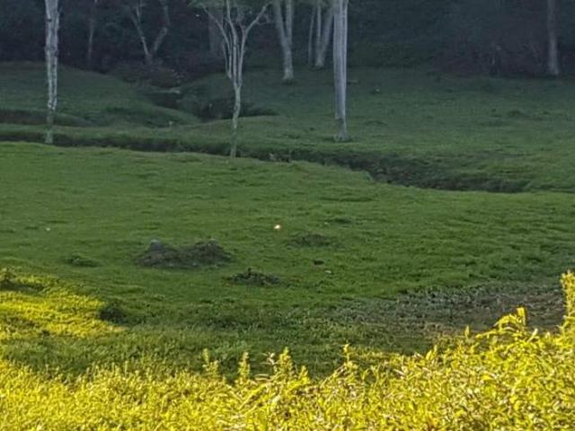 FAZENDA A VENDA 83 ALQUEIRES 202 HA IPORANGA SÃO PAULO