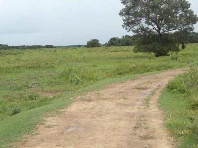 Fazenda à venda, 8794507850000 m² por R$ 250.000.000 Centro Poconé/MT