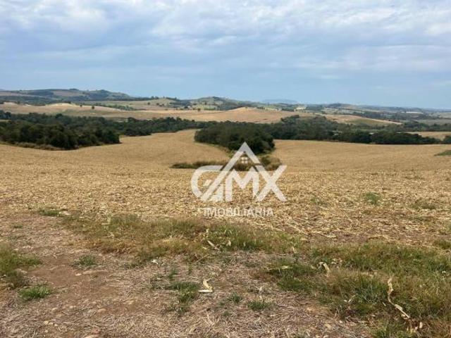 Fazenda à venda, 88 Alqueires por R$ 14.500.000 Rural Jundiai do Sul/PR