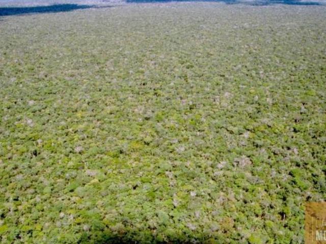 Fazenda a Venda 90.000 HECT. com pista de pouso. Bom Jesus de Piaui R$ 540.000.000,00