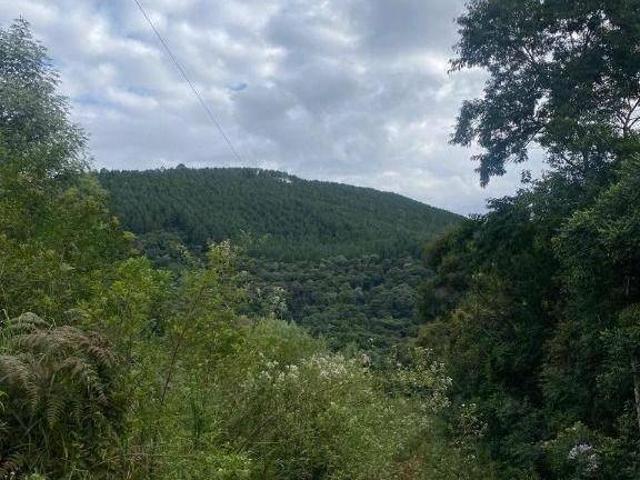 Fazenda à venda, 948000 m² por R$ 2.574.000,00 Área Rural de Campo Largo Campo Largo/PR