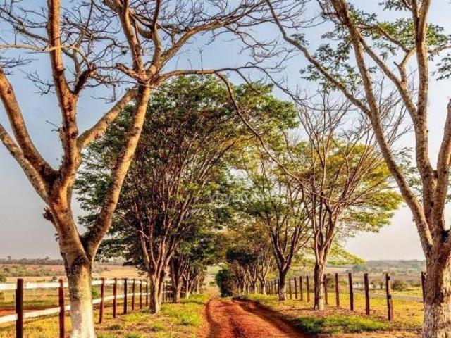 Fazenda à venda, 94,38 hectares Cesário Lange/SP