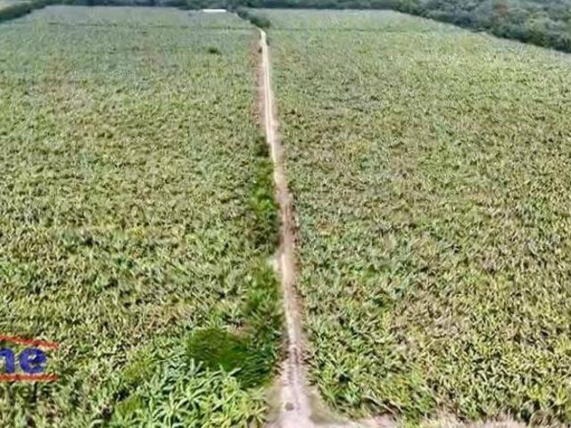 Fazenda à venda, 961000 m² por R$ 4.300.000,00 Jardim Aguapeú Itanhaém/SP