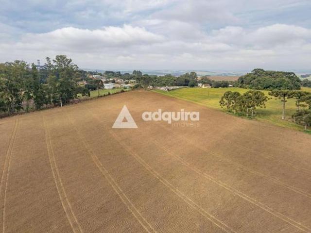 Fazenda à venda, Colônia do Lago, Palmeira, PR