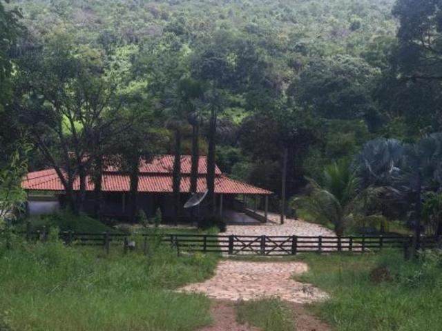 FAZENDA À VENDA COM 14 ALQUEIRES– COCALZINHO/GO GIRASSOL