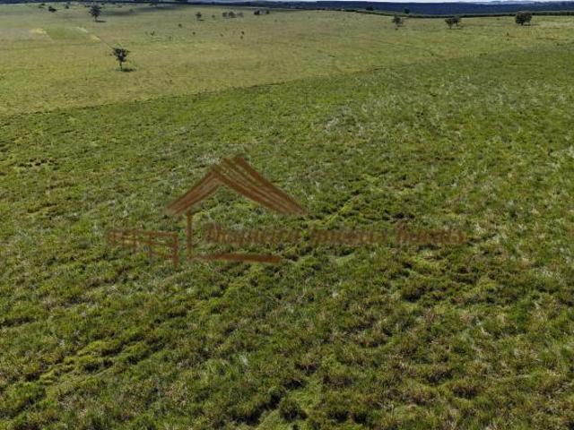 Fazenda à venda com 170 alqueires na região de Bauru SP