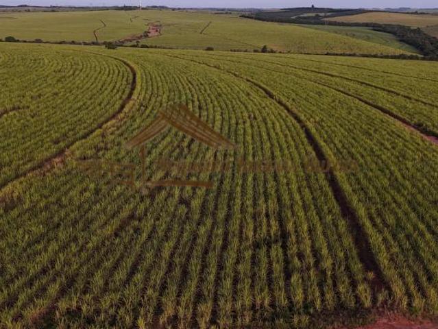 Fazenda à venda com 114 alqueires na região de São Manuel