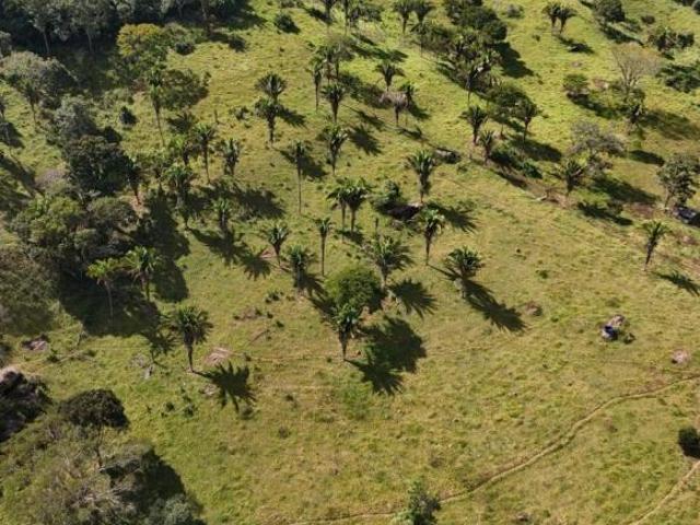 FAZENDA À VENDA COM 25,21 ALQUEIRES – MUNICÍPIO DE CORUMBÁ/GO