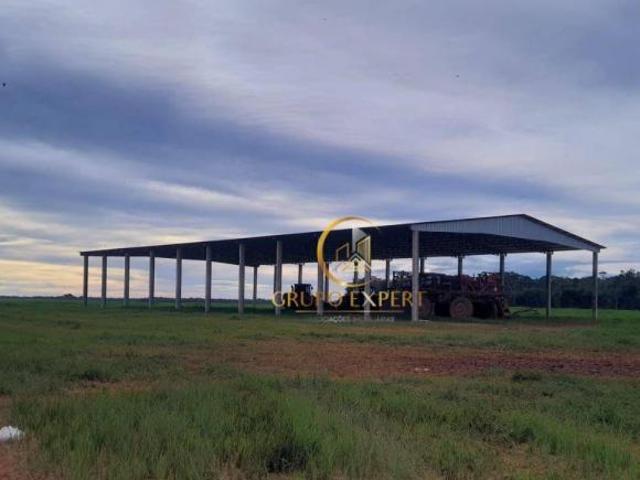 Fazenda à venda com 5.100 ha, próximo de Sinóp MT