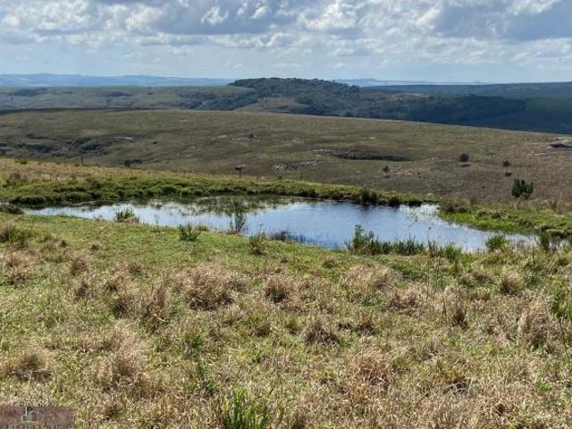 Fazenda à venda, com 69 alqueires, em Tibagi PR