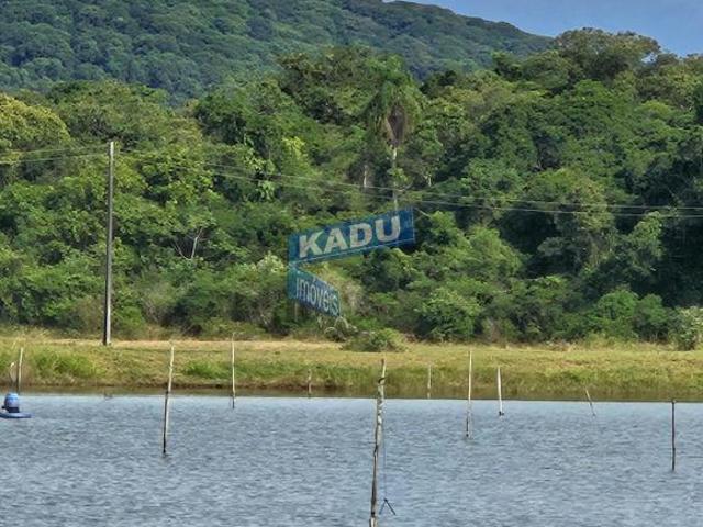 FAZENDA À VENDA COM 61 hectares Infraestrutura