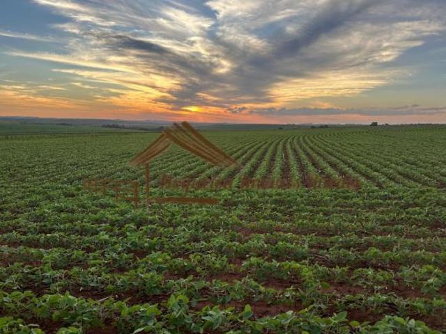 Fazenda a venda com 86 alqueires na região de Ourinhos/SP