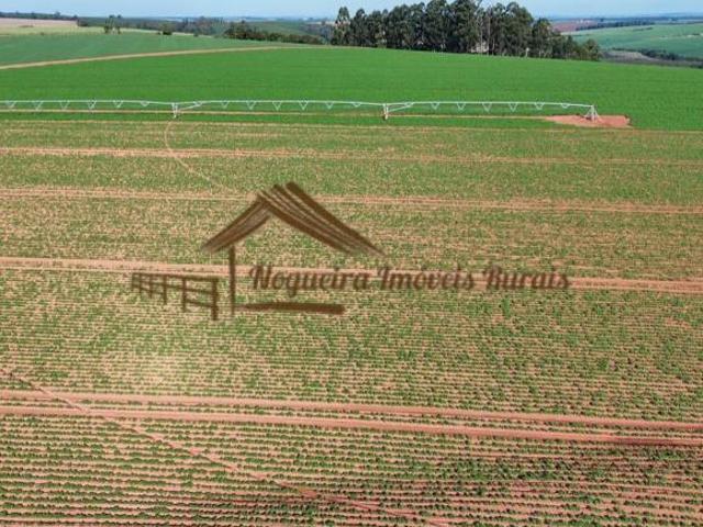 Fazenda à venda com 87 alqueires na região de Paranapanema SP