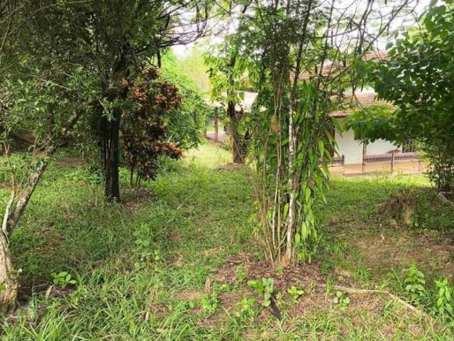FAZENDA A VENDA COM 83,81 HECTARES, TODA FORMADA PROXIMO A DIVINOPOLIS MG