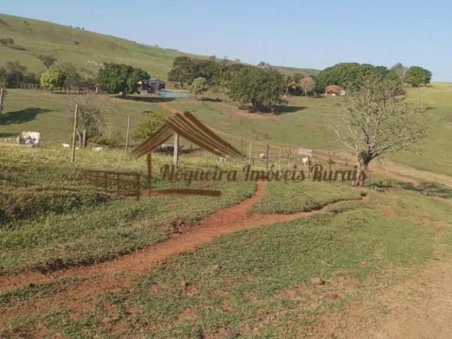 Fazenda a venda com 98,9 alqueires na região de Bandeirantes/PR