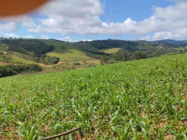 FAZENDA À VENDA CONCEIÇÃO DO RIO VERDE MG EXCELENTE FAZENDA