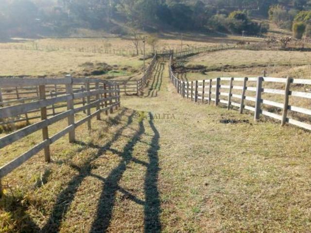 Fazenda à venda Cambuí MG