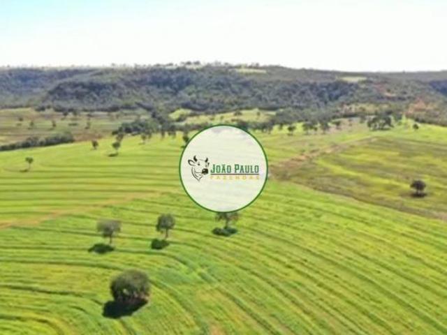 Fazenda a venda Campina Verde MG 607 Hectares Dupla aptidão agricultura e pecuária