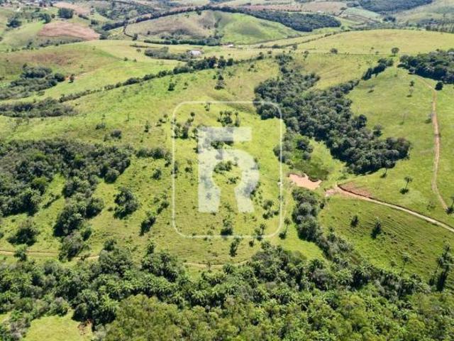 Fazenda à venda, Centro Queluzito/MG