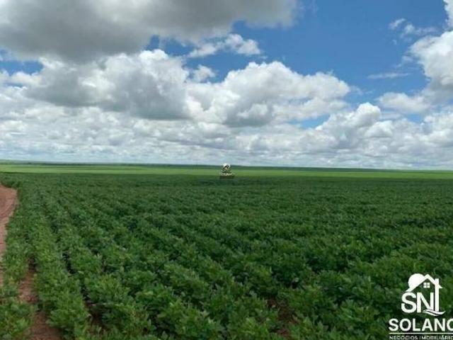 FAZENDA A VENDA A 70 KM DE PRIMAVERA DO LESTE MT