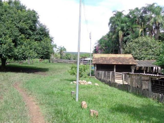 FAZENDA A VENDA À APENAS 18 km DE JANDÁIA Fazenda à Venda, 410966.00 por R$ 2547000.00 TA24835