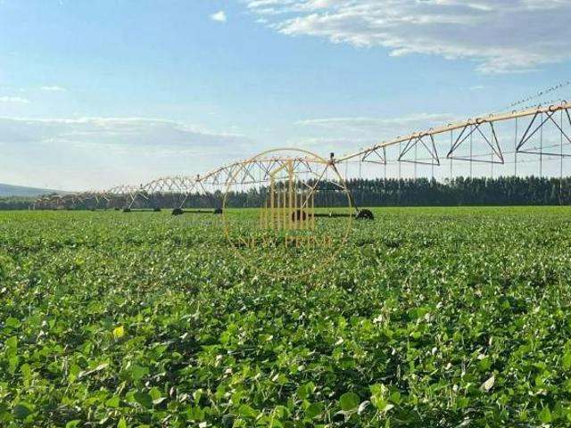Fazenda à venda, Área Rural de Sete Lagoas Sete Lagoas/MG