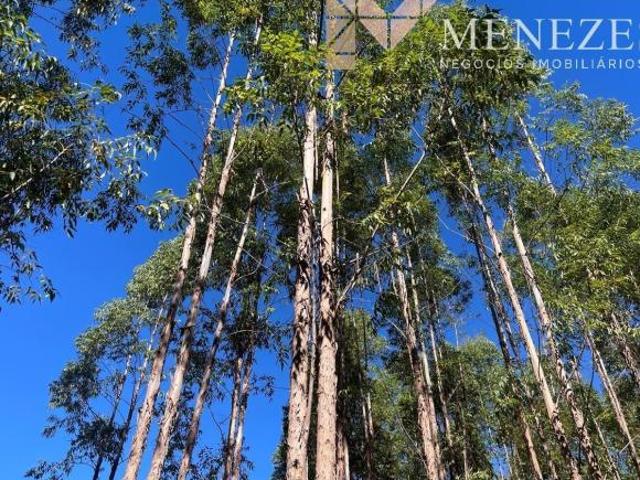 FAZENDA À VENDA BURITIZEIRO MG