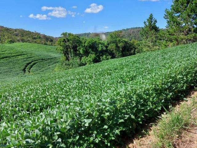 Fazenda à Venda Grande Potencial Agrícola e Ambiental no Interior de São Paulo