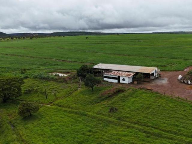 FAZENDA À VENDA EM COCALZINHO DE GOIÁS 192,8 HECTARES