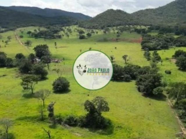 Fazenda a venda em Cocalzinho Goiás 518 Hectares 14 divisões pasto