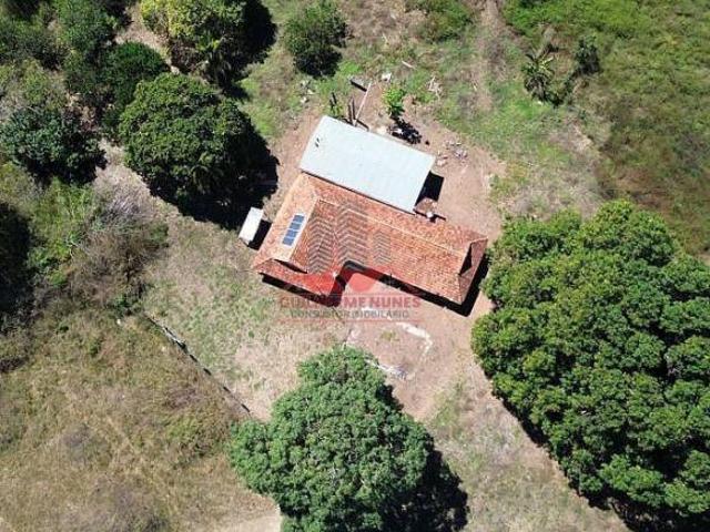 Fazenda à Venda em Cocalinho MT 1.600 Alqueirões no Araguaia