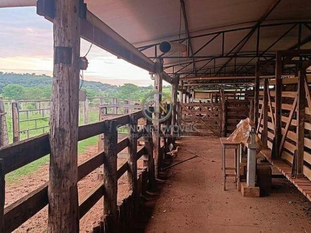Fazenda à Venda em Comendador Gomes MG | 1.776 Hectares
