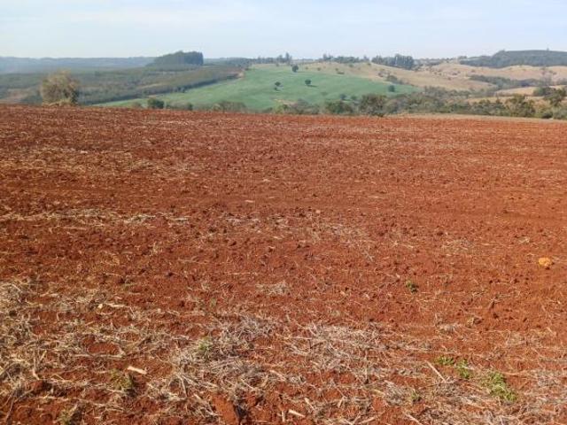Fazenda à venda em Conchas SP, Zona Rural: 217.800,00 m² de área