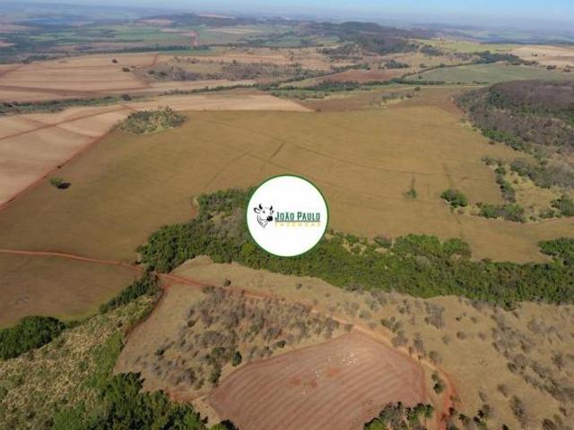 Fazenda a venda em Conquista MG 325 hectares DUPLA APTIDÃO EXTRA