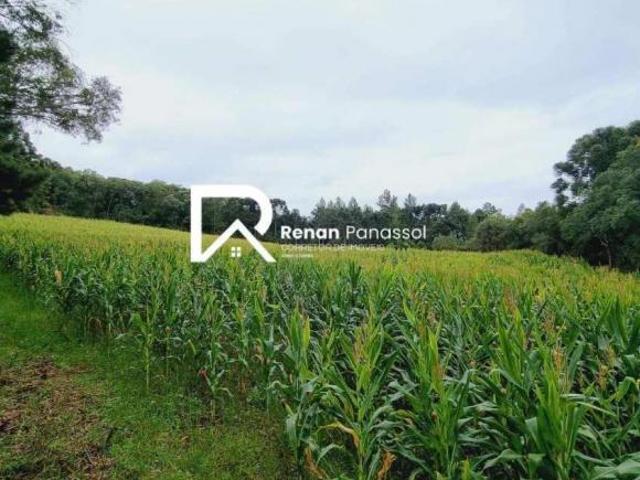 Fazenda à venda em Caxias do Sul, Vila Oliva, 370000m²