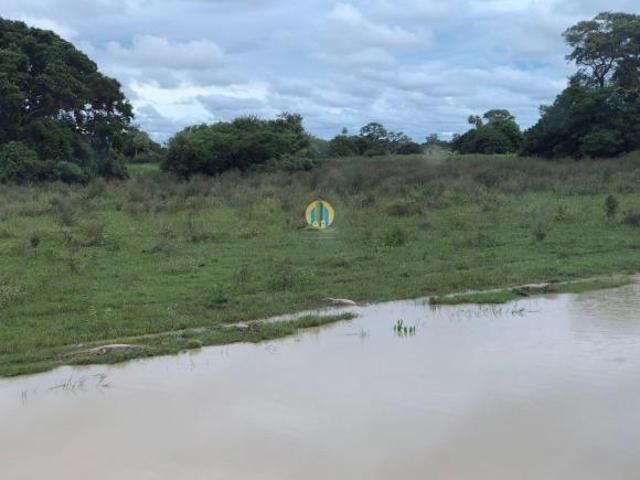 Fazenda à venda em Cáceres/MT