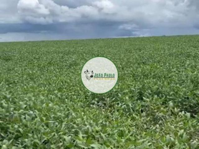 Fazenda a venda em Caiaponia GO 170 Hectares Região de Safra e safrinha JÁ ARRENDADA
