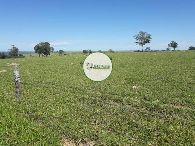 Fazenda a venda em Caiapônia GO 517 Hectares Região de safra e safrinha